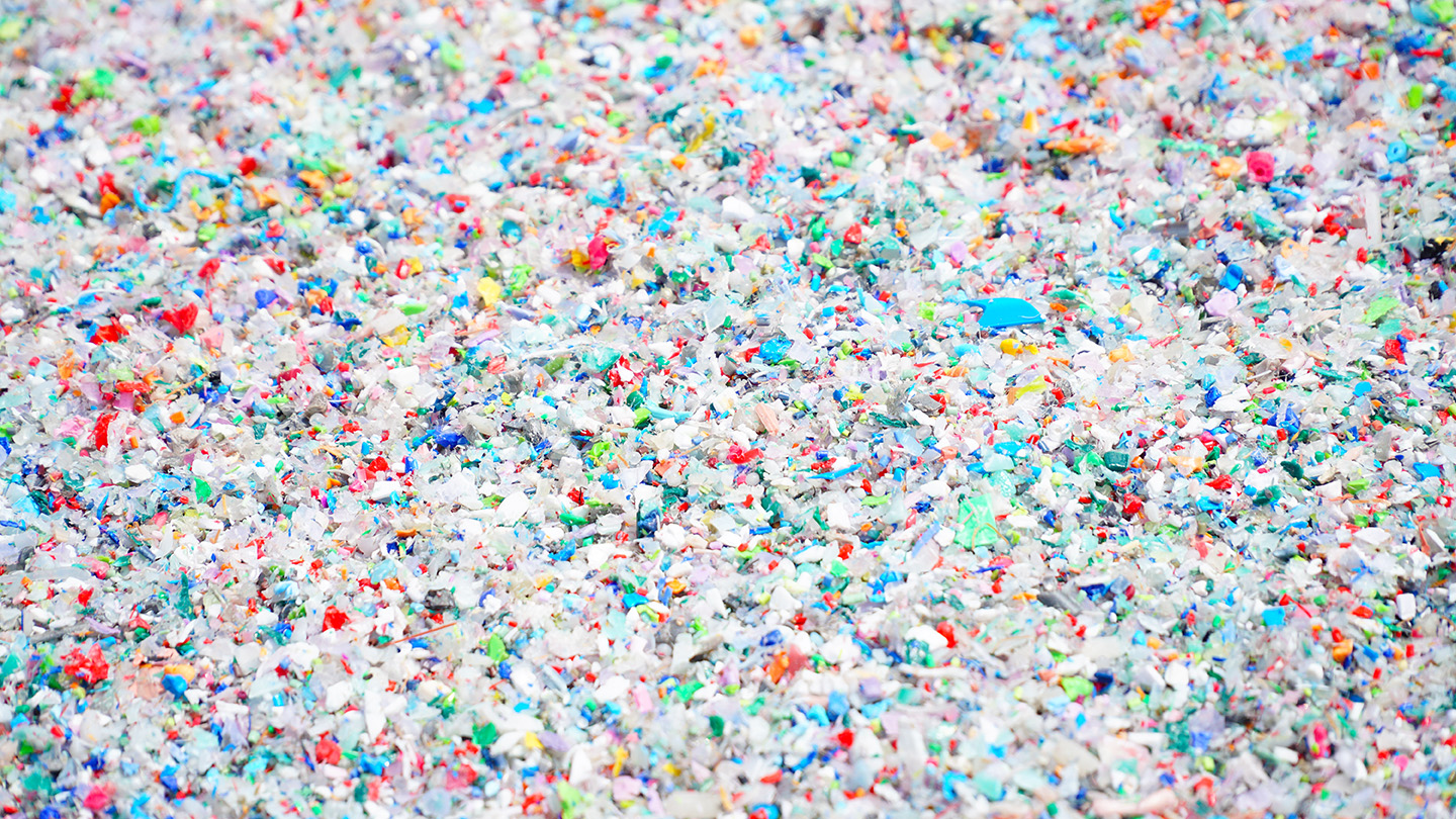 Plastic shards permeate human brains