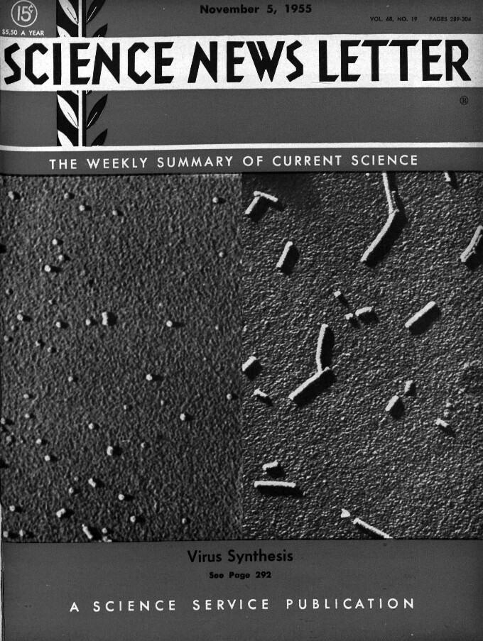 November 5, 1955 | Science News