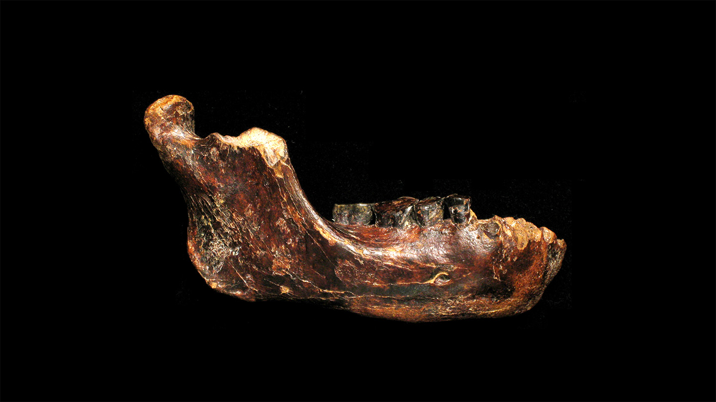 Denisovans inhabited Taiwan, new fossil evidence suggests