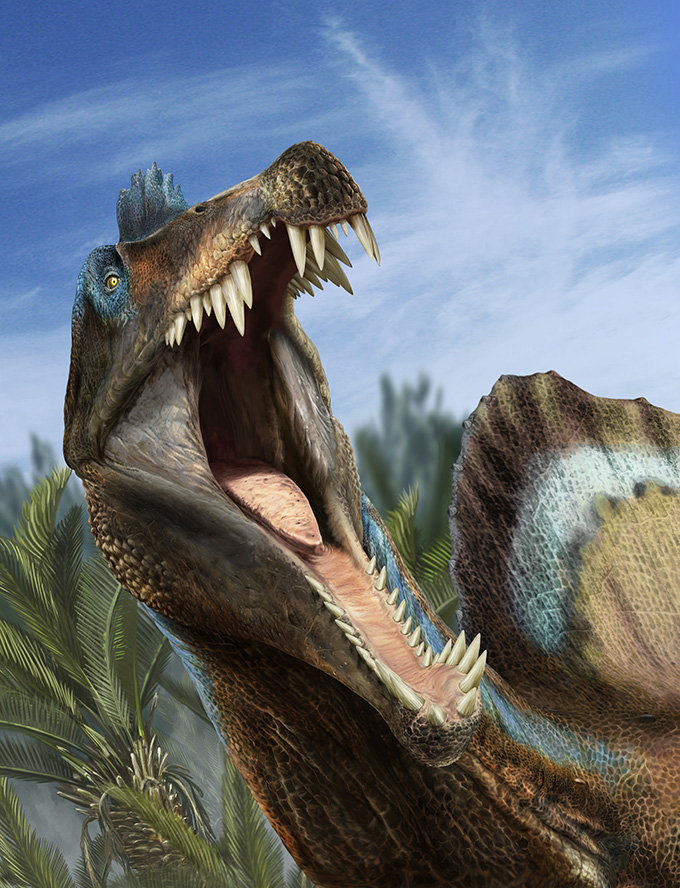 Could Spinosaurus swim? The fierce dinosaur ignites debate