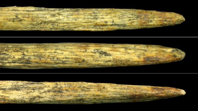 Neandertals invented bone-tipped spears all on their own