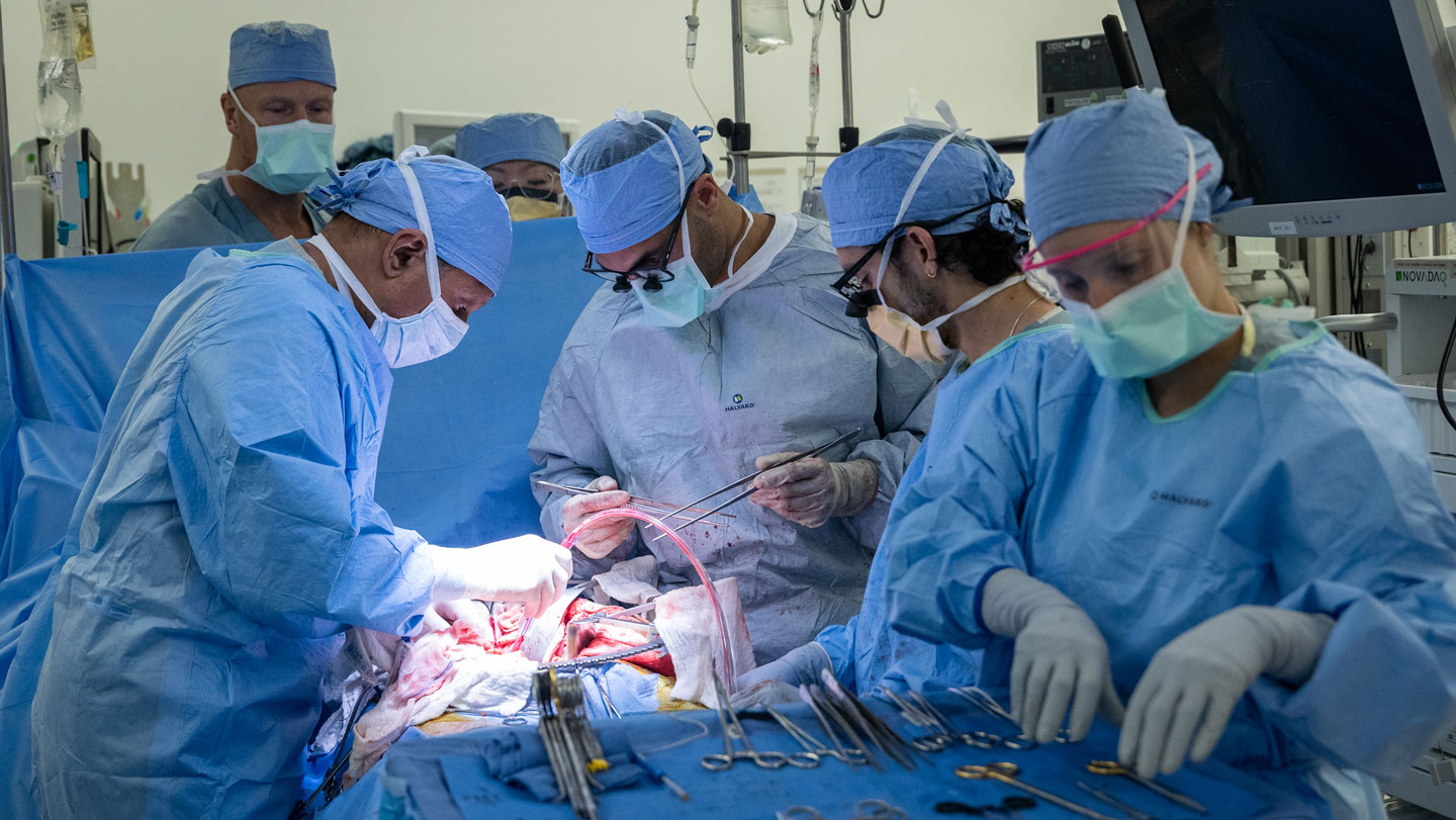 It’s tricky to transplant a bladder. How surgeons finally did it