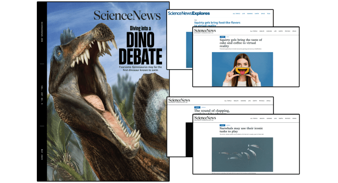 The sound of clapping, explained by physics
