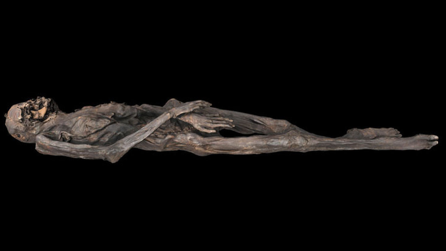 Neandertals invented bone-tipped spears all on their own