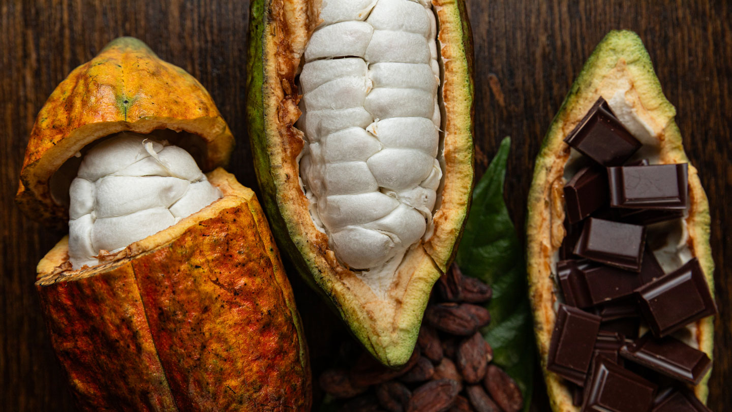 What makes chocolate taste so good? It’s the microbes