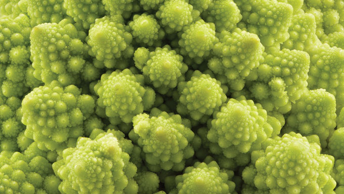 See how fractals forever changed math and science