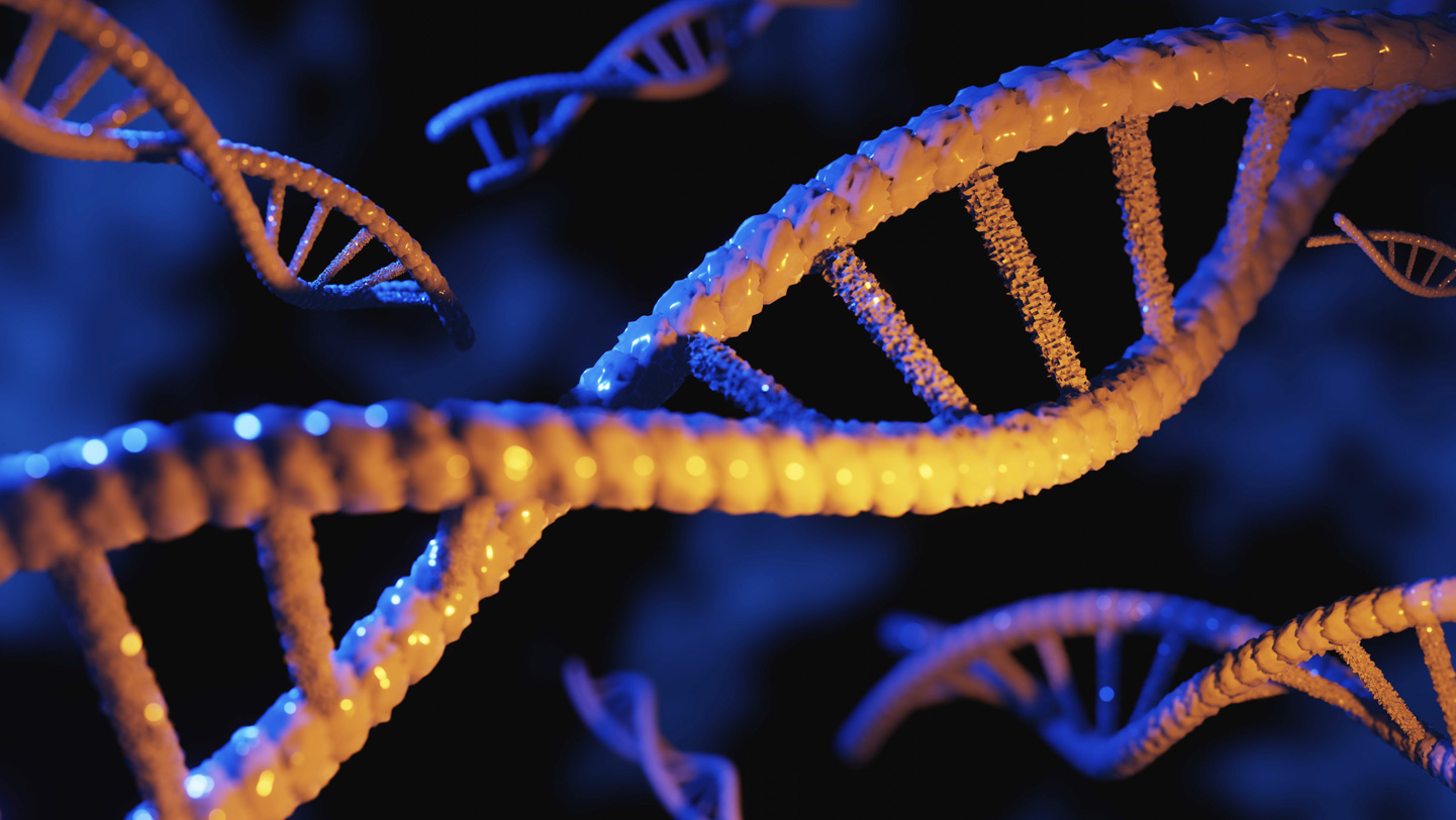 Genetics | Science News