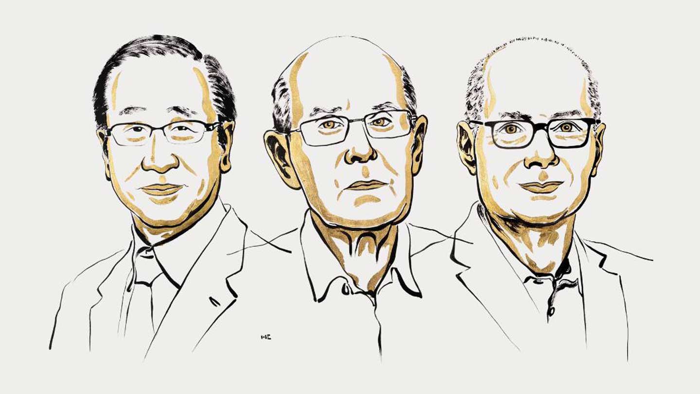 Work on protein structure and design wins the 2024 chemistry Nobel