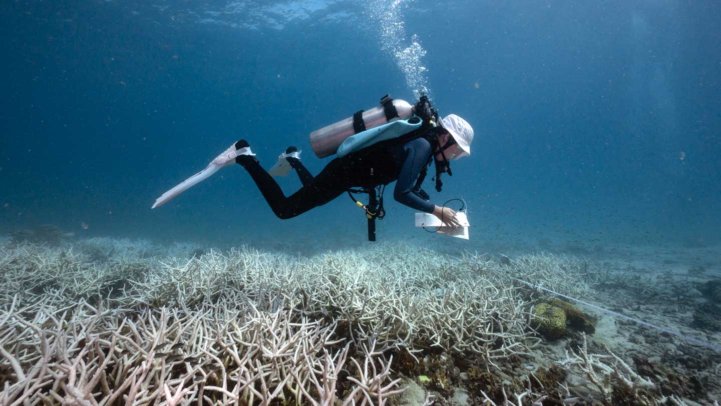 Coral collapse signals Earth's first climate tipping point