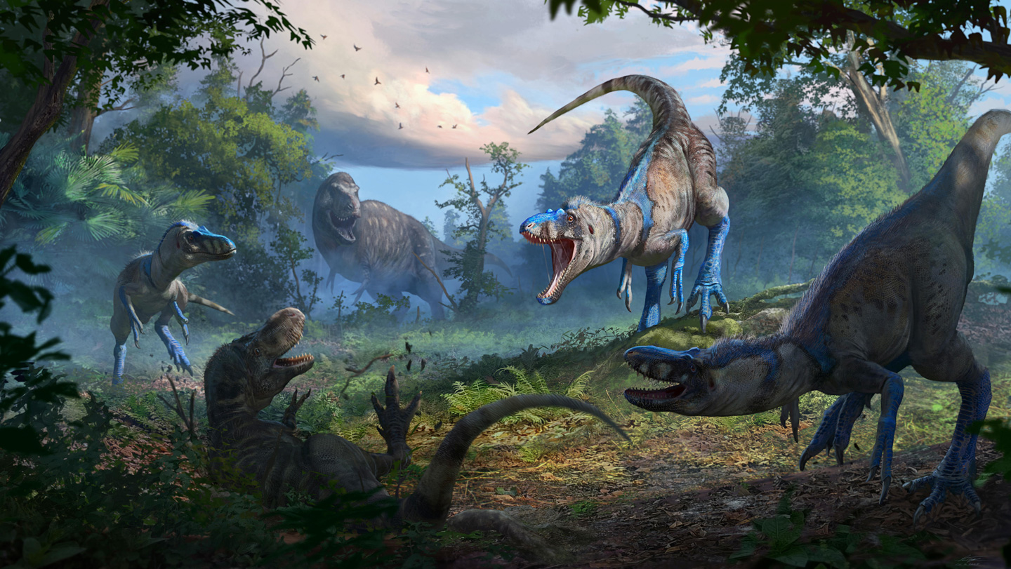 Sight for 'Saur Eyes: T. rex vision was among nature's best