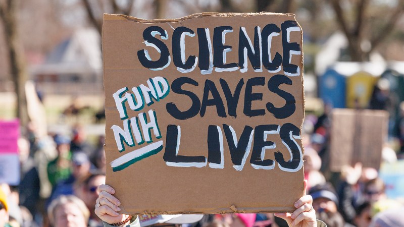 See the alarming extent of NIH and NSF funding cuts in 2025