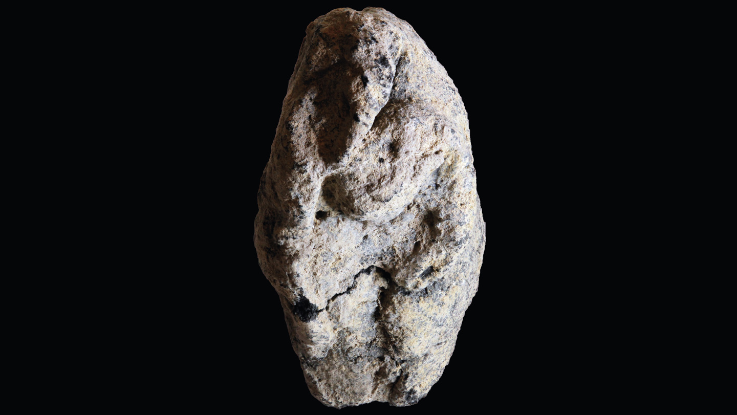 Capuchin monkeys’ stone-tool use has evolved over 3,000 years