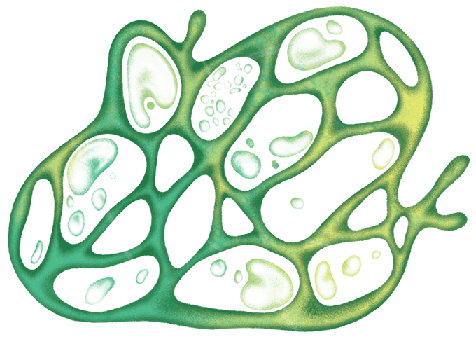 How these strange cells may explain the origin of complex life