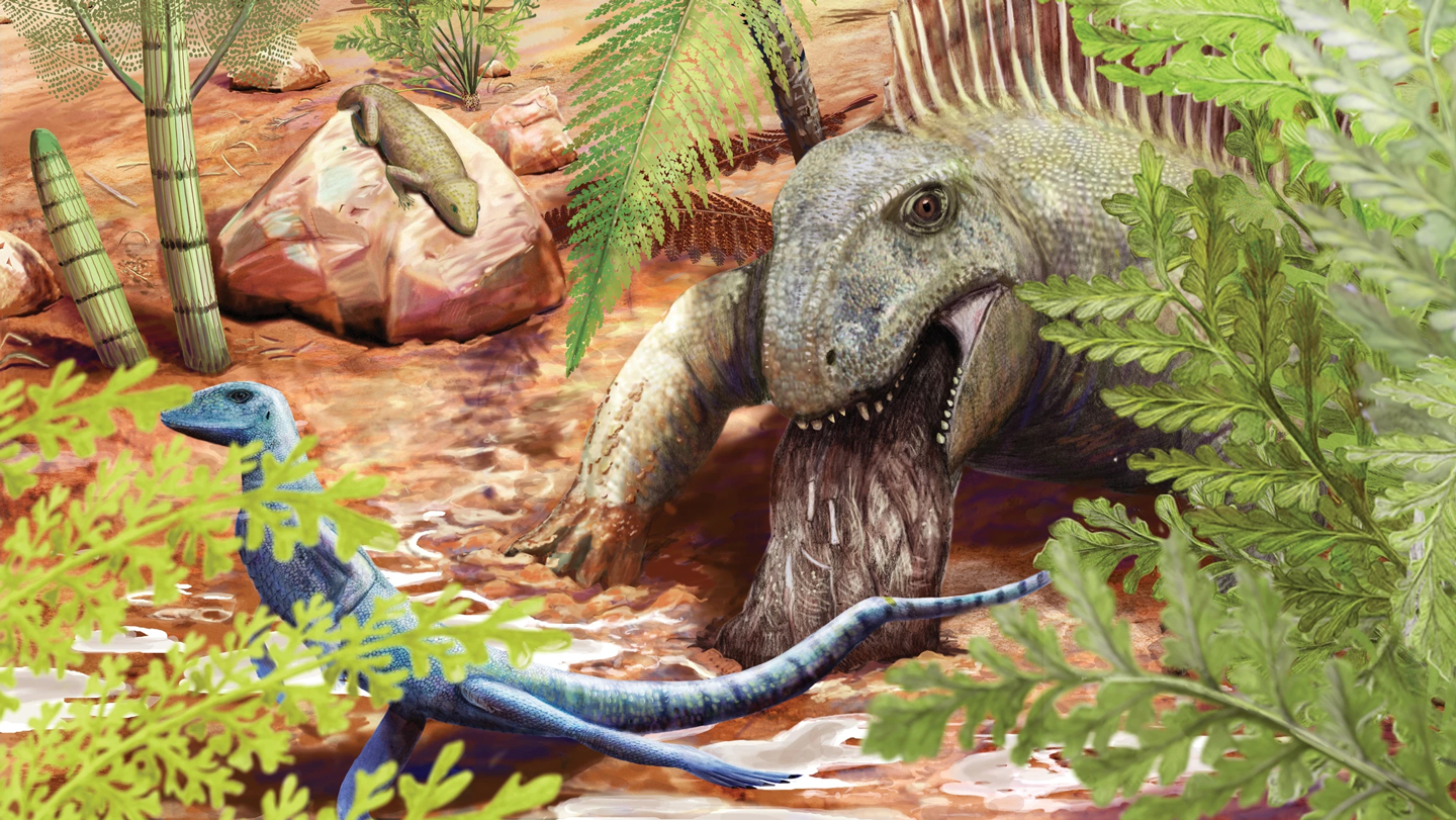 Could Spinosaurus swim? The fierce dinosaur ignites debate