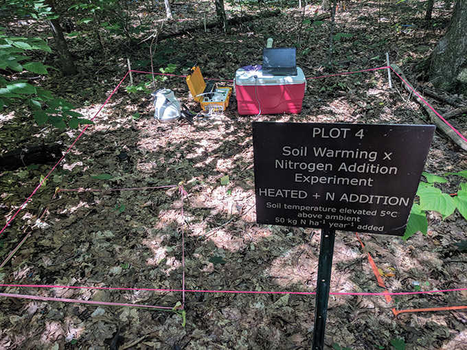Climate change is affecting microbes. It could have implications for ...