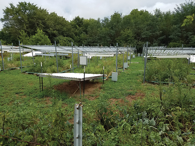 Climate change is affecting microbes. It could have implications for ...