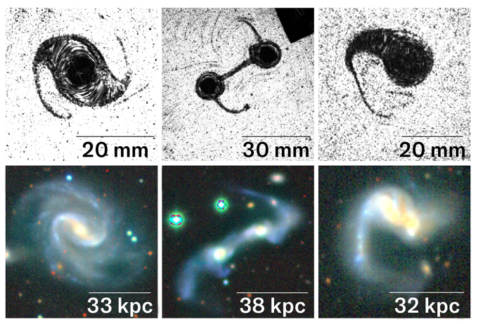 Water drops on soap bubble films act like merging galaxies