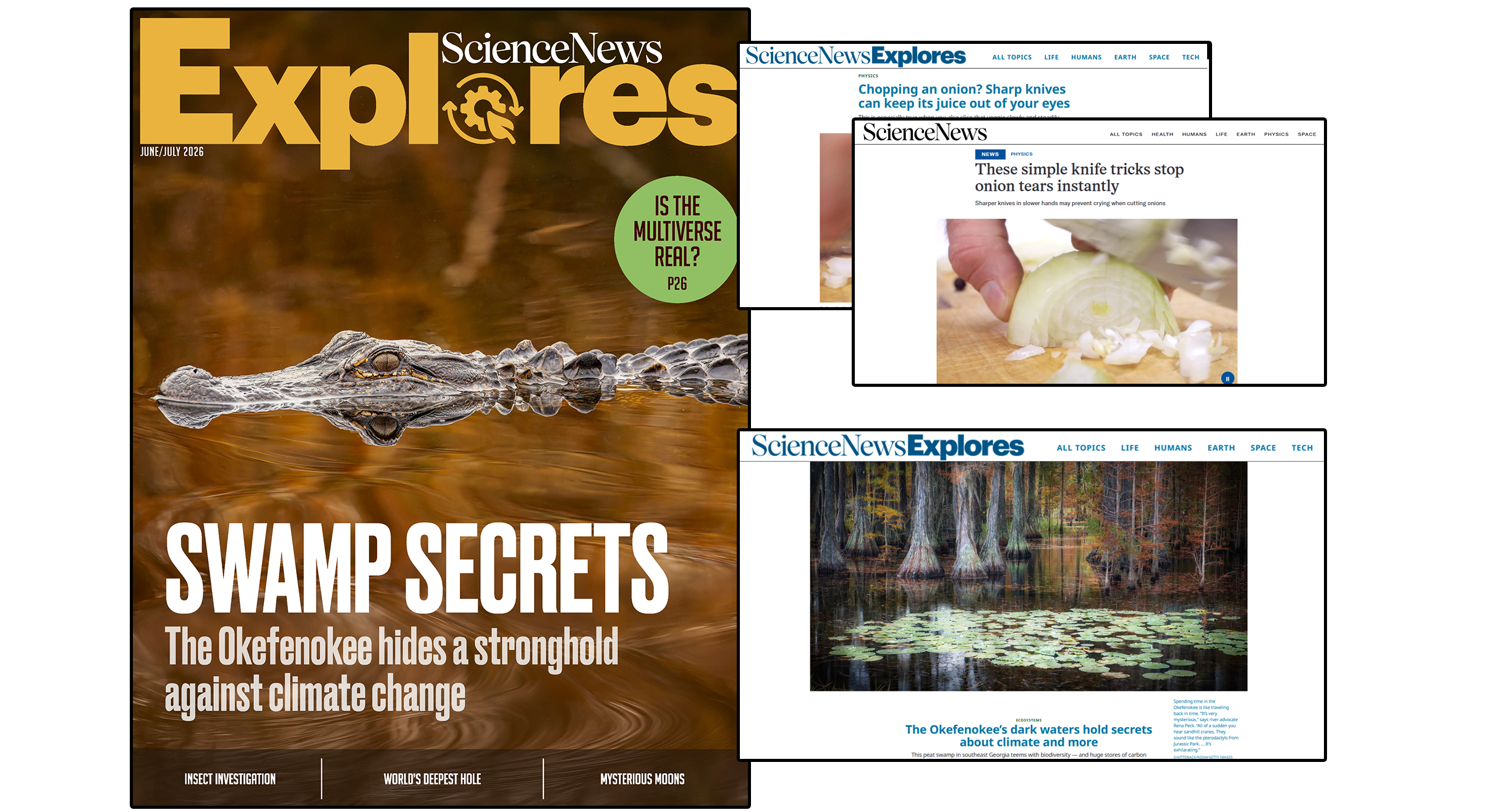 Cutting Onions and Conserving the Okefenokee | Science News Learning