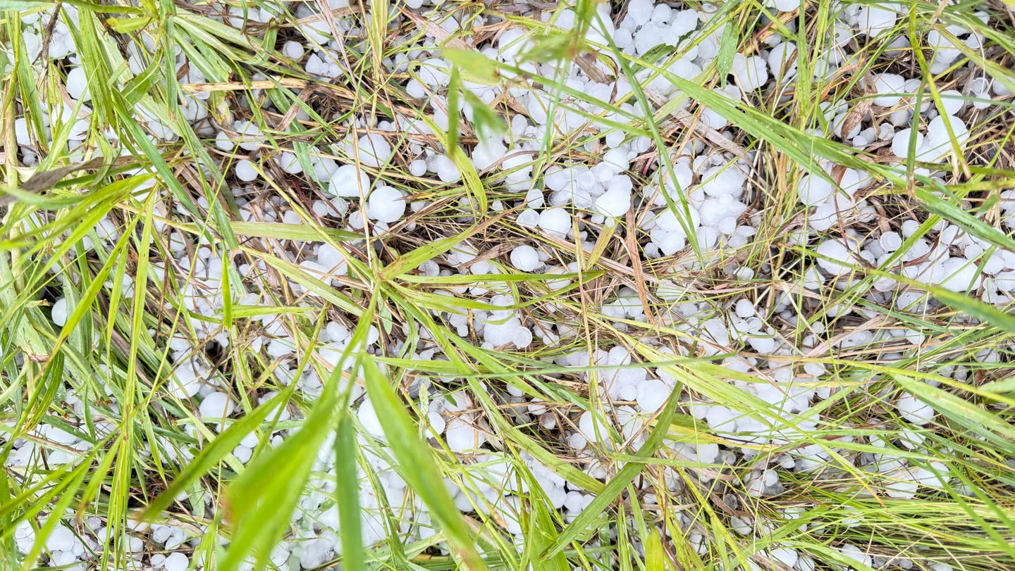 Grapefruit-sized hail may become more common in a warmer world